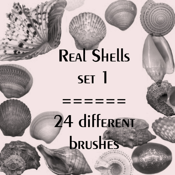 Real shells set 1 by rL-Brushes on DeviantArt