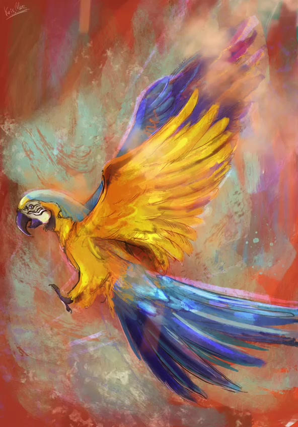 Parrot Animation by KrisMez on DeviantArt