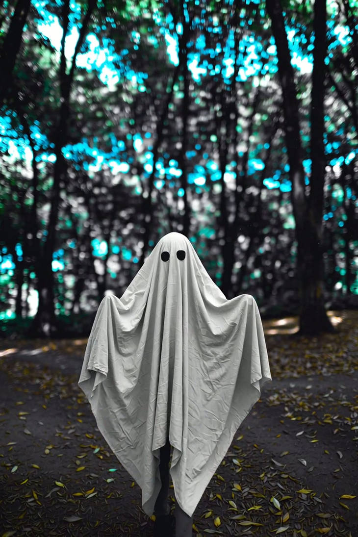 20251101-1251001a Ghost-like Figure by kimolakibu on DeviantArt