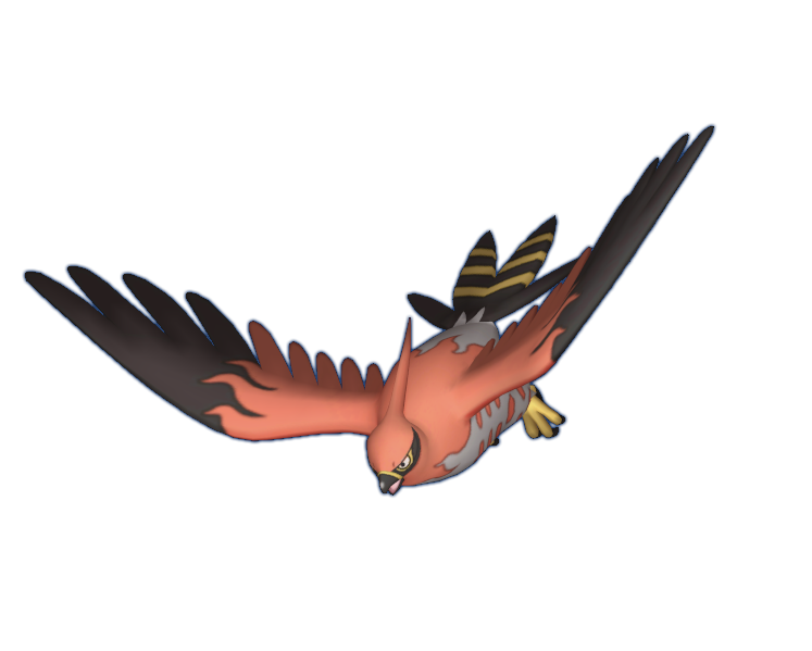 Talonflame ~ 3D Nif Model + animations DL by EveKN on DeviantArt