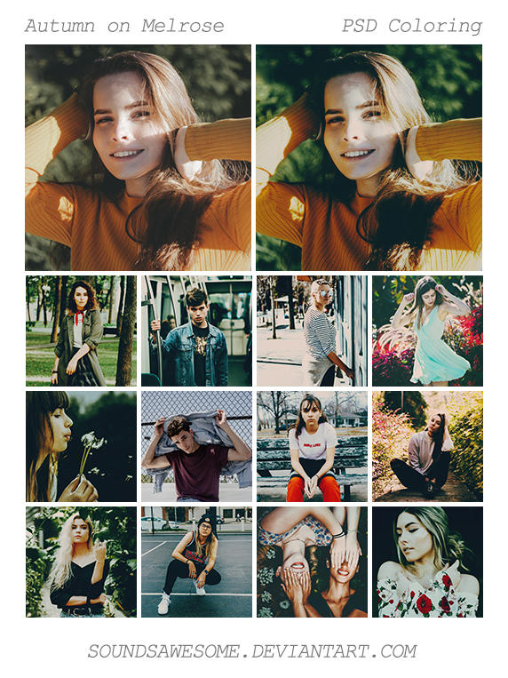 SA - Autumn on Melrose by SoundsAwesone on DeviantArt
