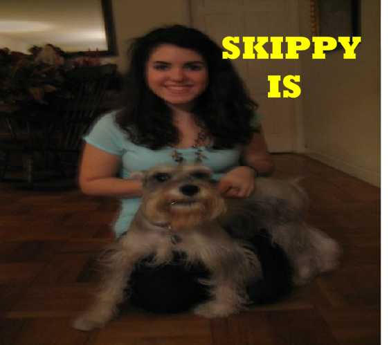 SKIPPY IS EVERYTHING by Squeezey-Bear on DeviantArt