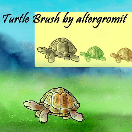 Tortoise Brush by altergromit on DeviantArt