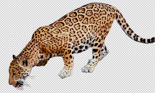 Jaguar by MadSDesignz on DeviantArt