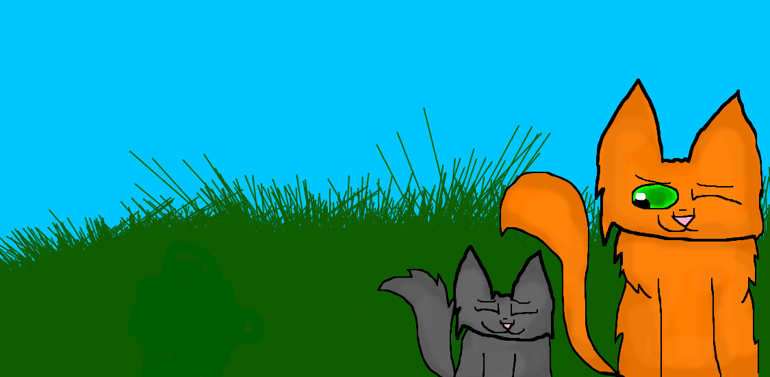 Firestar's first apprentice by Bluestar908 on DeviantArt
