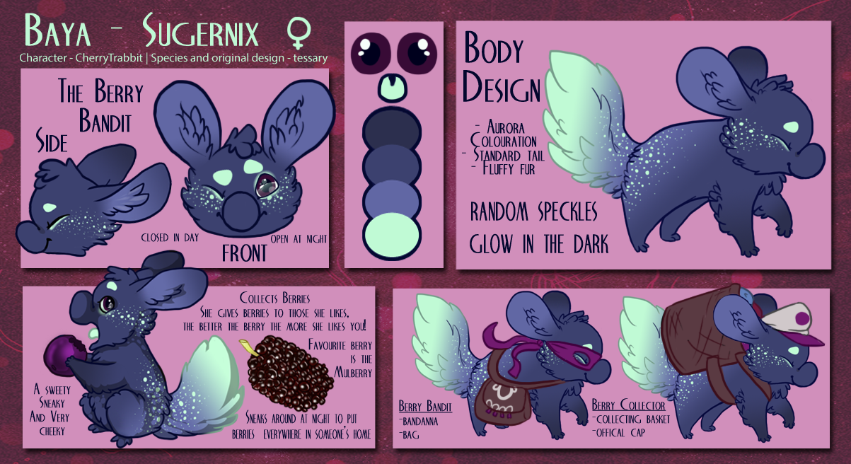 Baya Ref by CherryTrabbit on DeviantArt