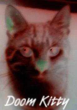 Doom Kitty by Boo-Hoo599 on DeviantArt