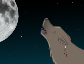 Wolf-Art-And-Photos | DeviantArt