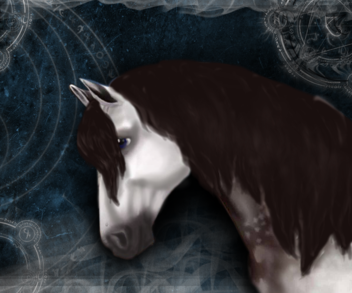 Andalusian Sso (star stable online) Edit by caropferd on DeviantArt