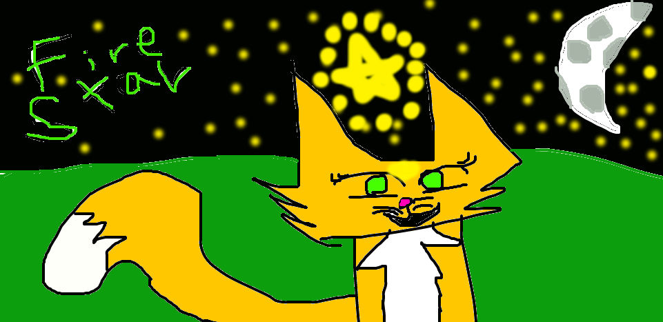 firestar the cat in warrior cats by DanykaRice on DeviantArt