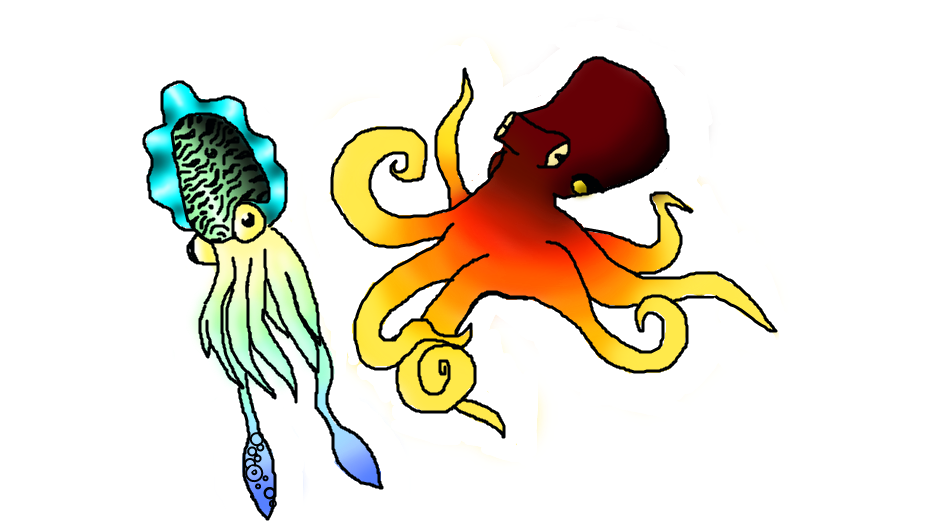 free cuttlefish and octopus by SpotsFan on DeviantArt