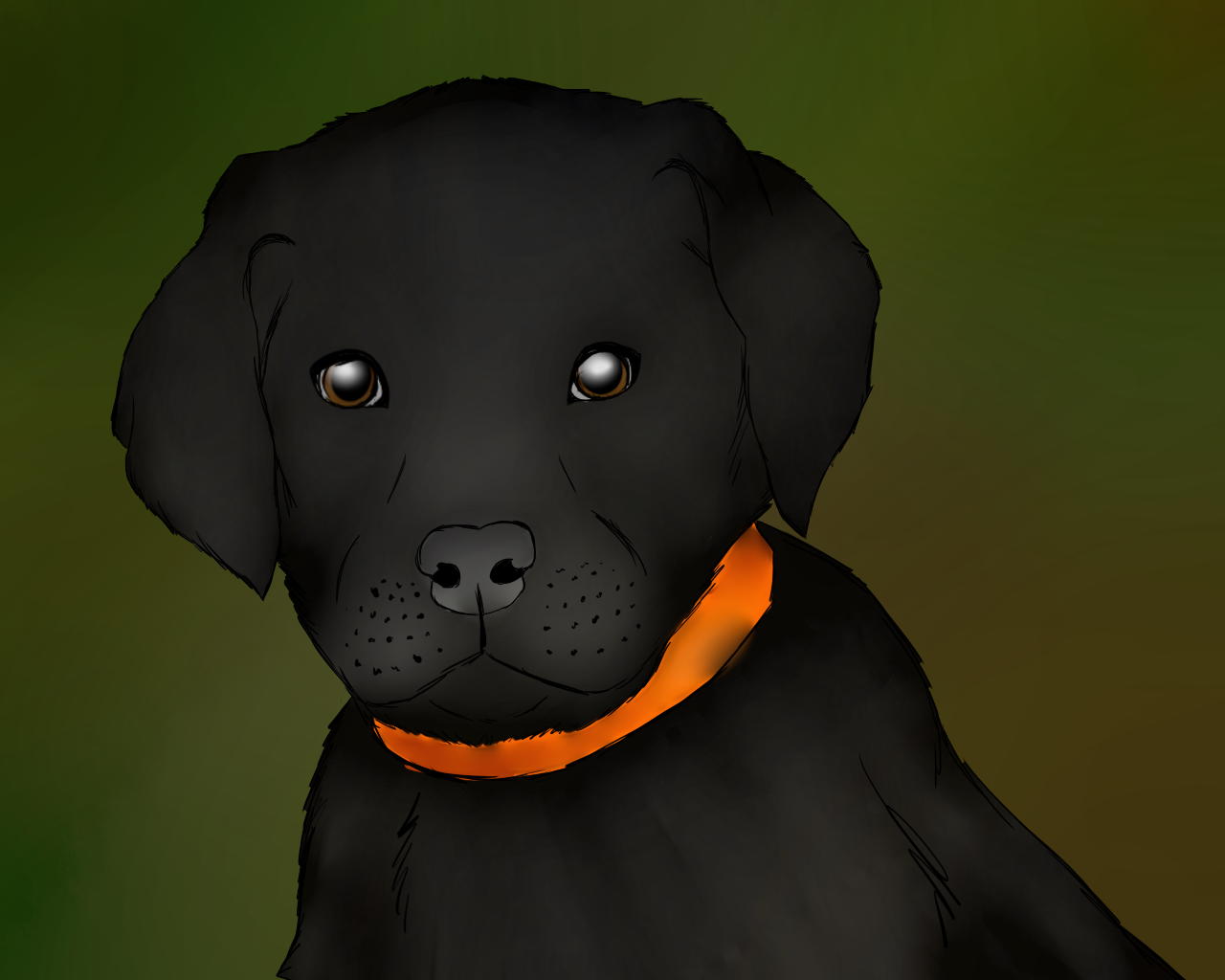 Black Lab by Jay--Feather on DeviantArt