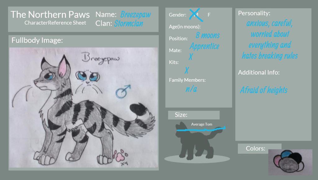 TNP||Breezepaw App. by Pigeon-Butt on DeviantArt