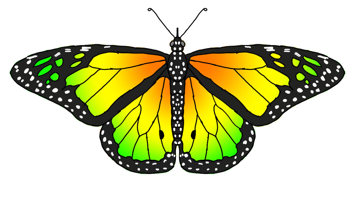 Butterfly by Markitty15 on DeviantArt