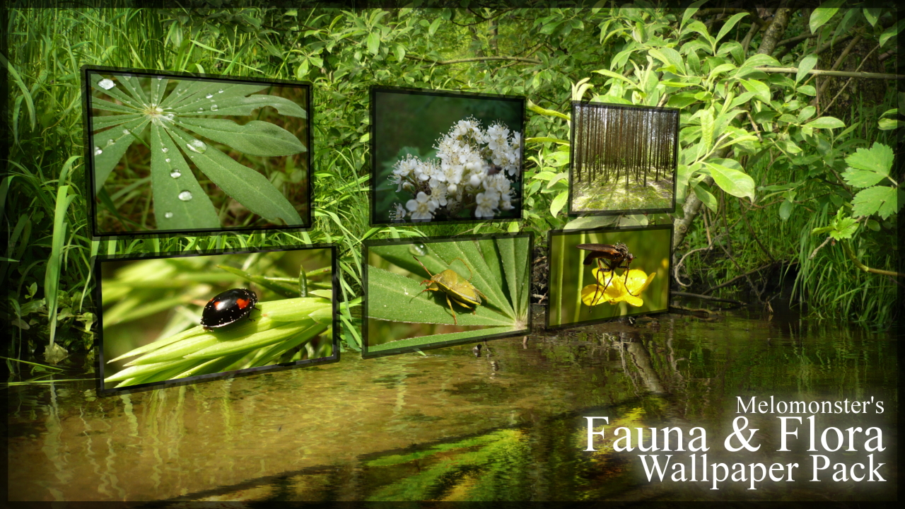 Flora and Fauna Wallpaper Pack by Melomonster on DeviantArt