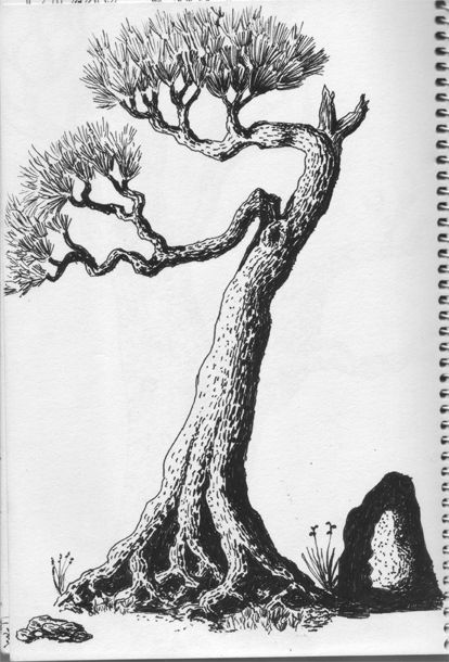 broken tree by greyforests on DeviantArt