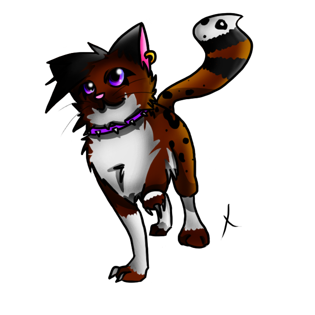Ash the Cat by LugiaBlade on DeviantArt