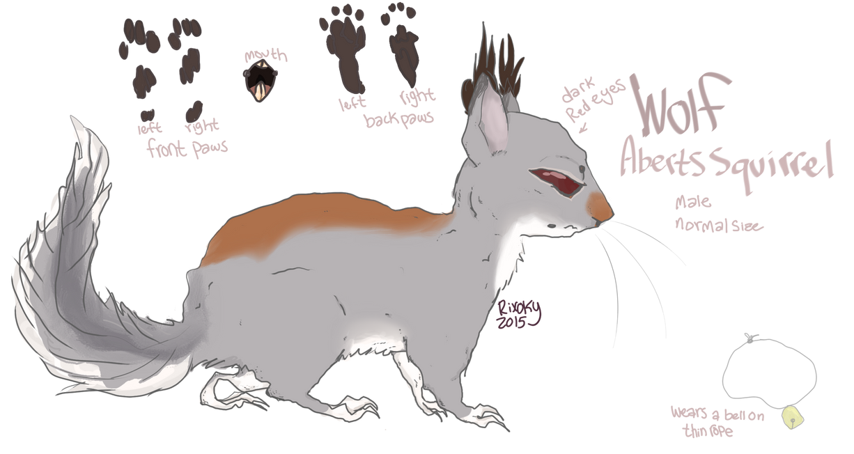 wolf ref sheet by rixoky on DeviantArt