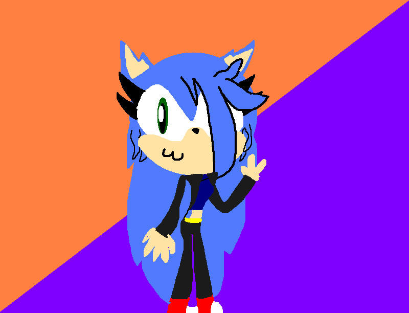 Sonica Esmeralda The Hedgehog by sonamy-rose987 on DeviantArt
