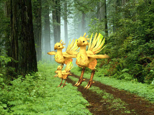 OMG MMD Chocobos DL by Valforwing on DeviantArt