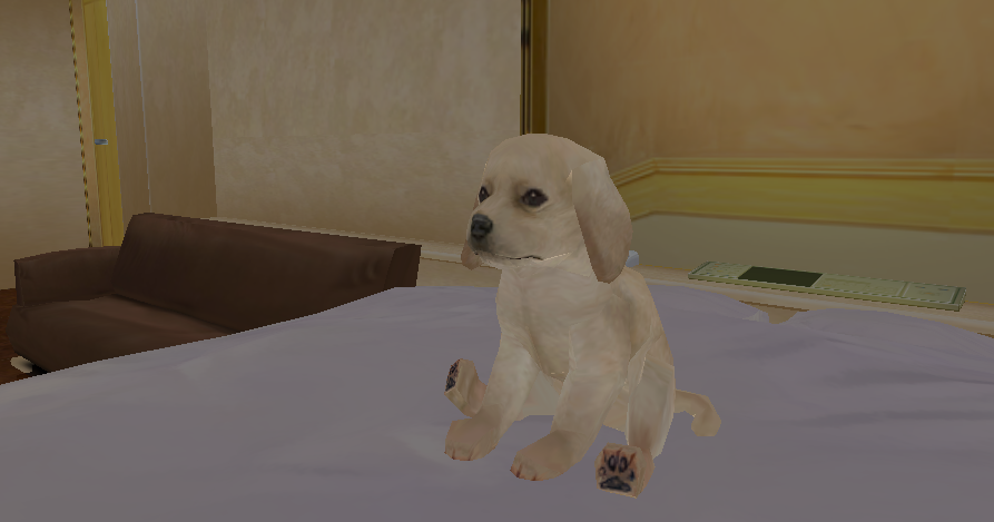 Dogs on MMD-Pet-Store - DeviantArt