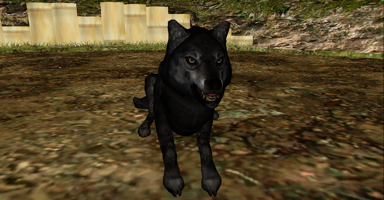 realistic wolf + DL by Valforwing on DeviantArt