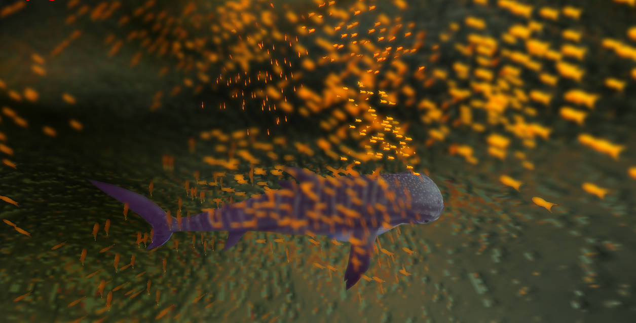 MMD Newcomer Purple Whale Shark + DL by Valforwing on DeviantArt