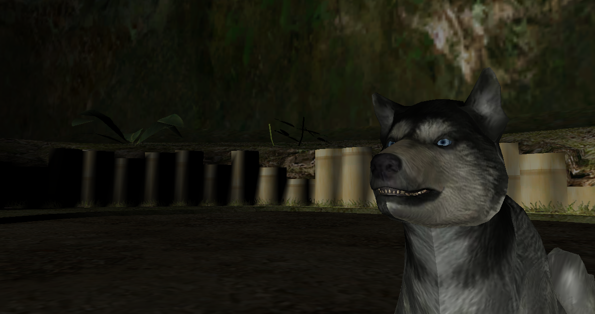 MMD Newcomer Husky mix + DL by Valforwing on DeviantArt