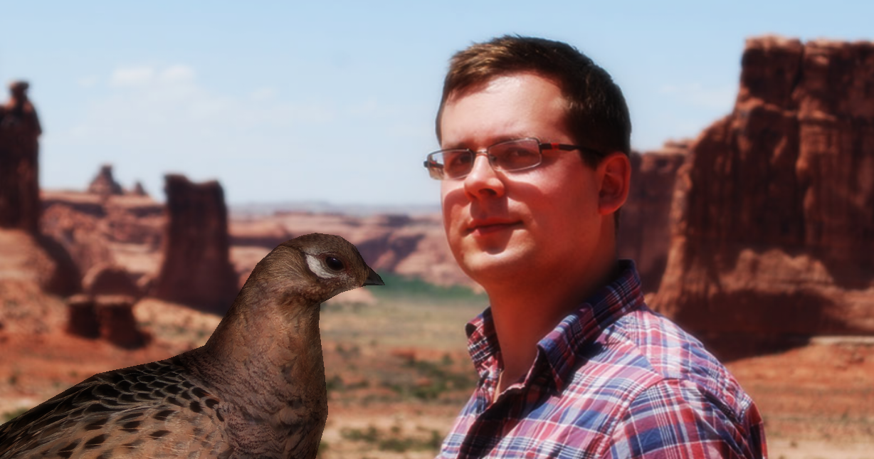 mmd newcomer lots of birds + DL by Valforwing on DeviantArt