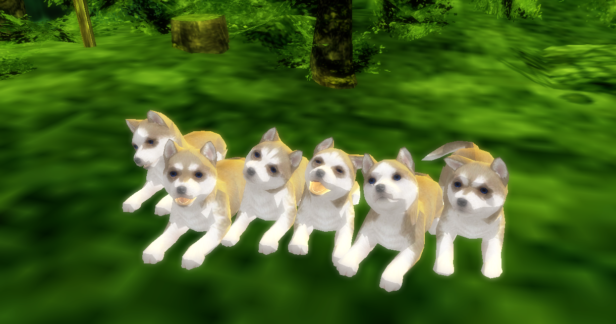 MMD Newcomer Dusky Siberian Husky + DL by Valforwing on DeviantArt