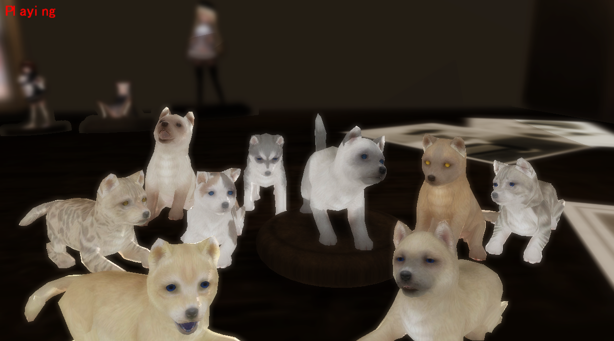 MMD Newcomer Interesting Siberian Husky + DL by Valforwing on DeviantArt