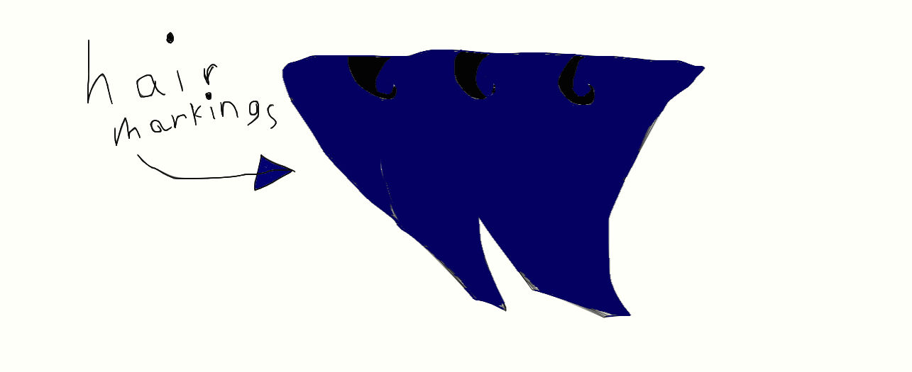 Hair Markings for Mascot contest by Swirlpath on DeviantArt