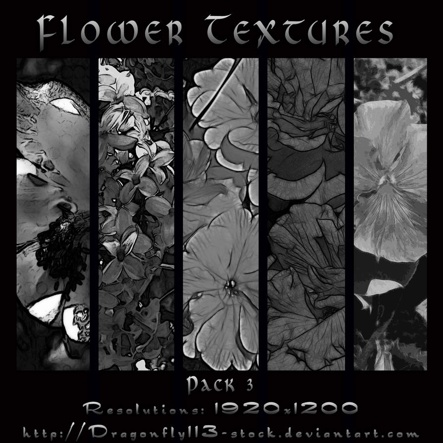 Flower Textures Pack 3 by BFstock on DeviantArt