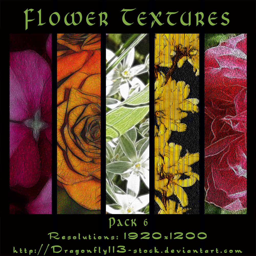 Flower Textures Pack 6 by BFstock on DeviantArt