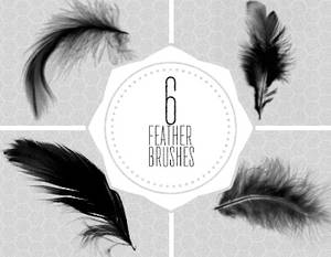 Explore the Best Feathers Art | DeviantArt