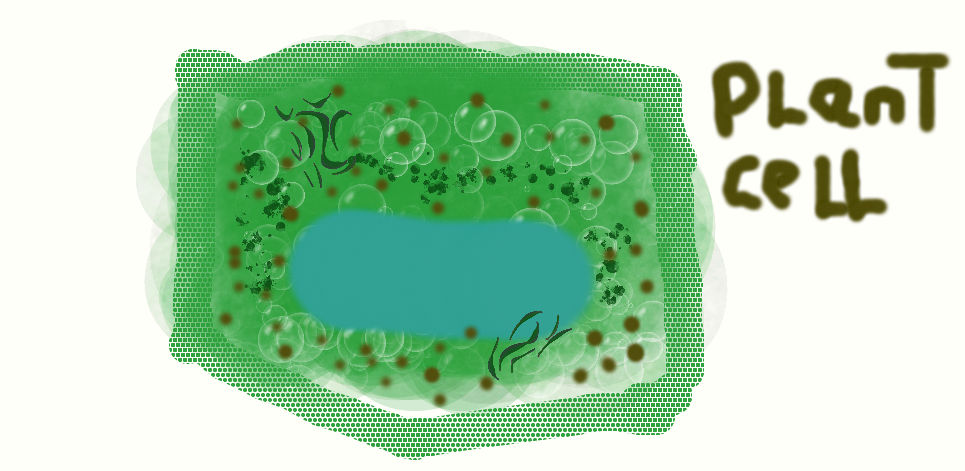 my awesome plant cell drawing for science class! by cutechibicat on ...
