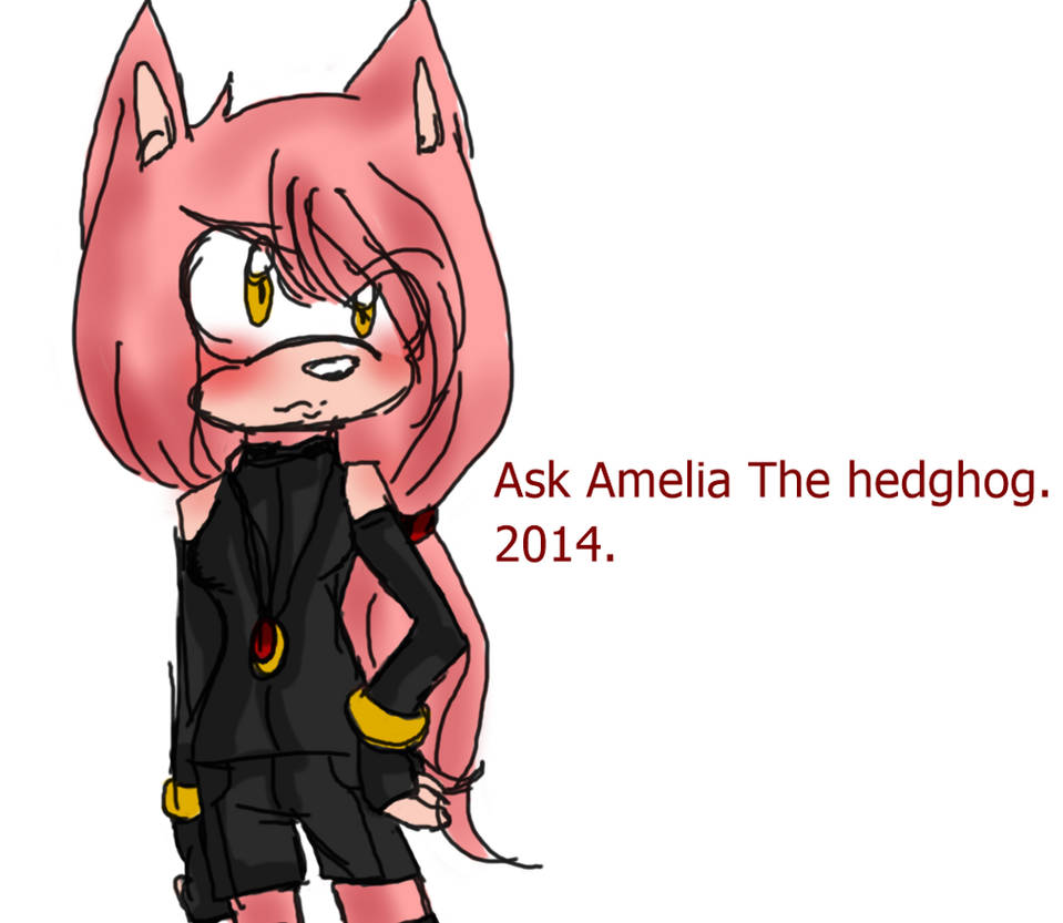 Ask Amelia the hedghog 2014. by Ameliakaoslighting on DeviantArt