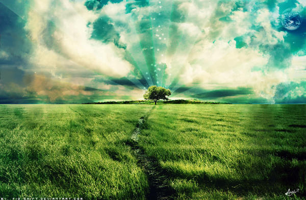 Field Of Dreams by Fi2-Shift on DeviantArt