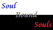 Soul Bound Souls Ch 7 by akibara13 on DeviantArt