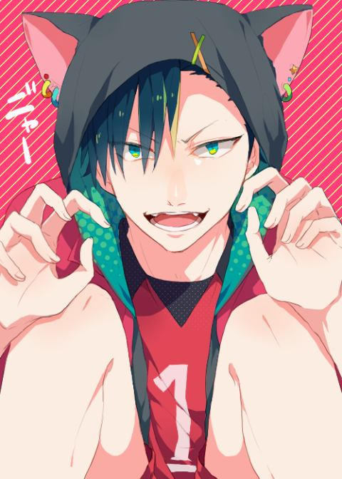 Pretty Kitty~Kuroo x Reader by ultimatemadoka-sama on DeviantArt