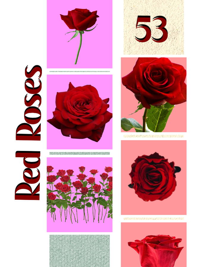 Red Roses Pack by BachtheOtter on DeviantArt