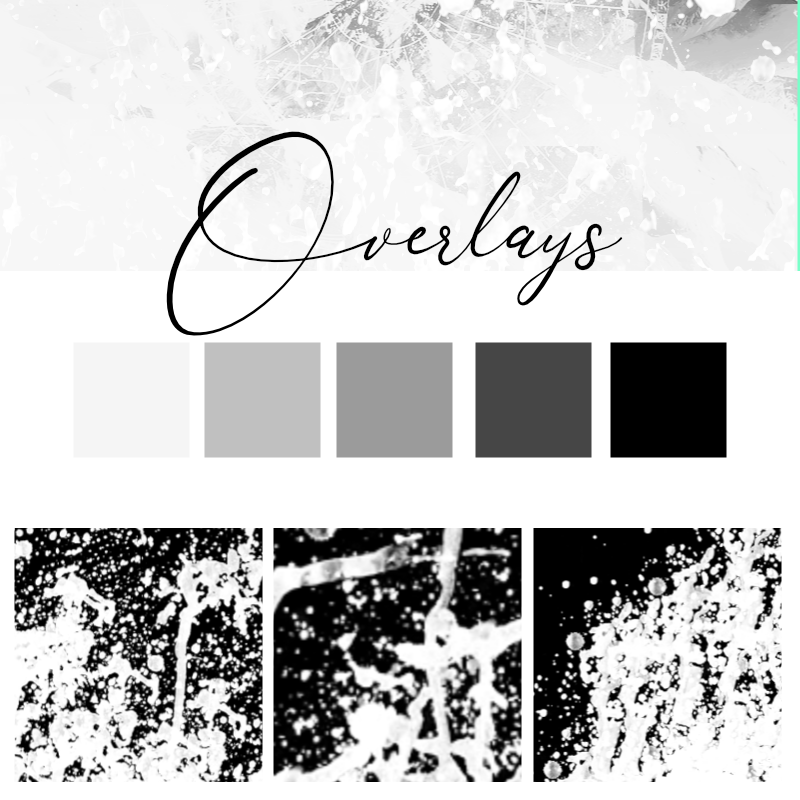 8 Bw Splatter Overlays by BachtheOtter on DeviantArt