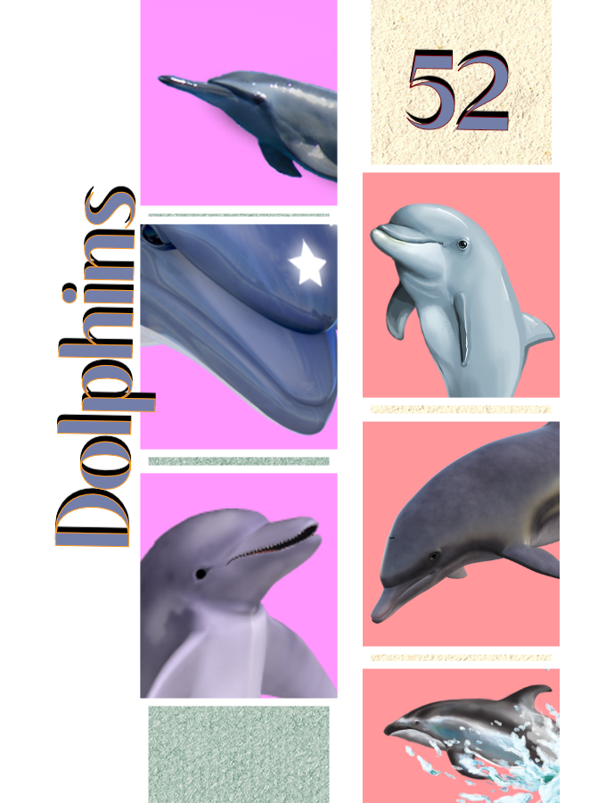 Dolphin PNG by BachtheOtter on DeviantArt