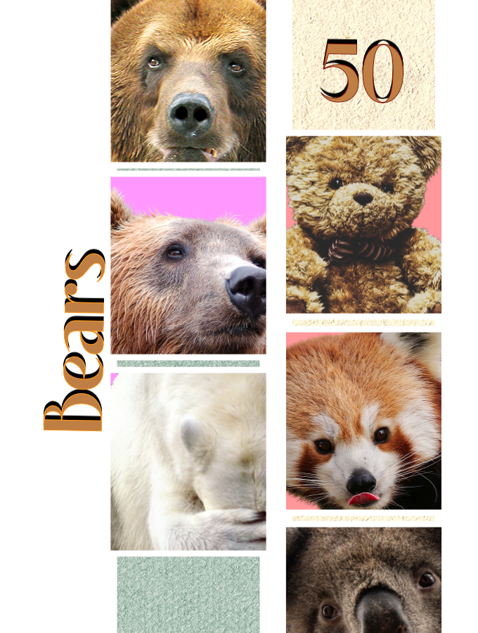 Bear PNG by BachtheOtter on DeviantArt