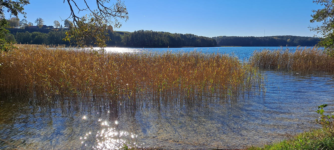 20241019 113542 by KLijegozdjecia on DeviantArt