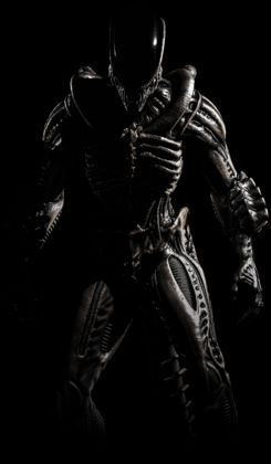 Xenomorph!M!Reader X ???(Preview) by Endervslender on DeviantArt