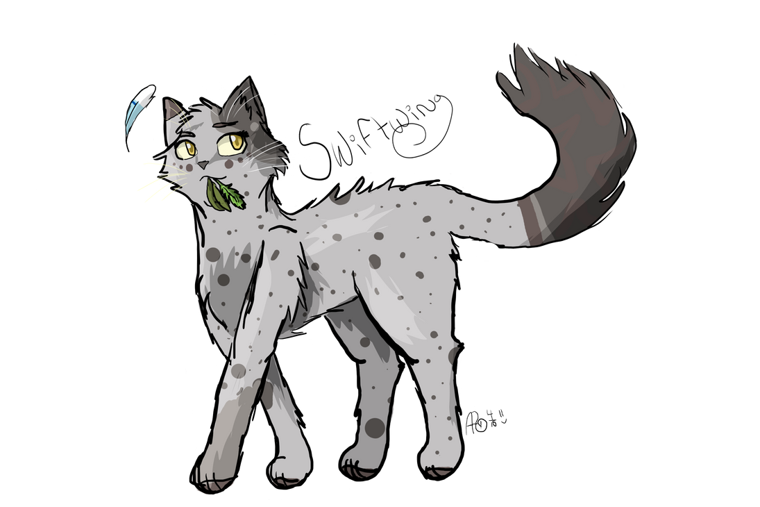 Swiftwing by Arialeaff on DeviantArt