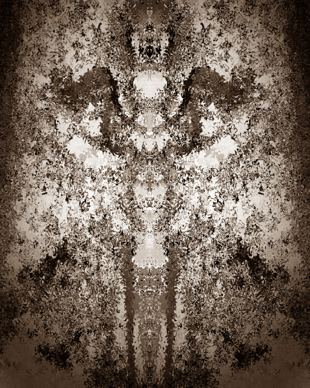 Bilateral Symmetry Art