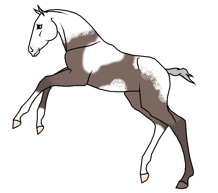 Greyhound x Marine Ship It Result by GeneralLioness on DeviantArt