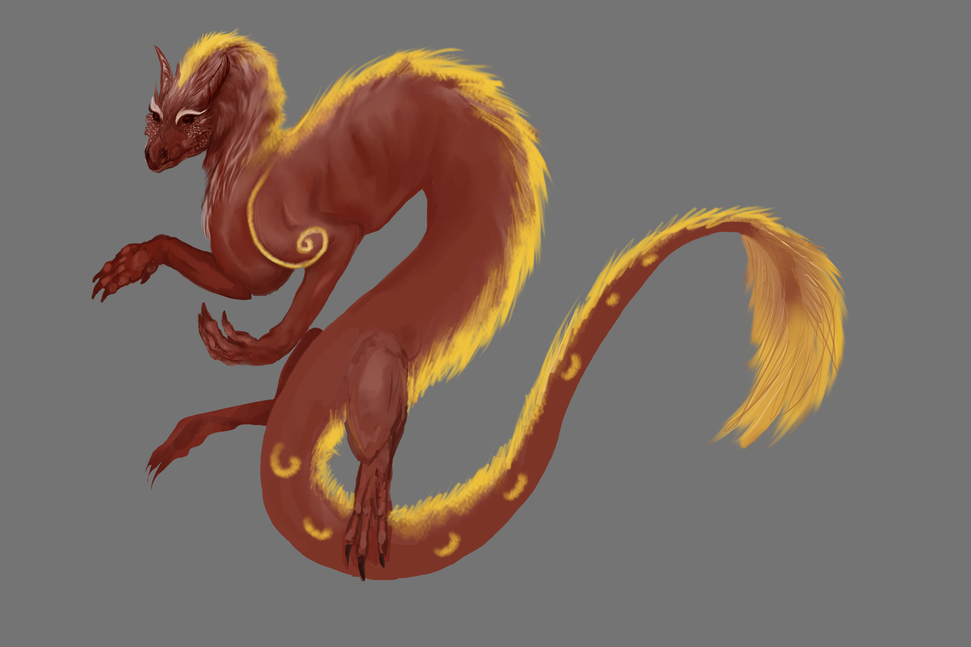 Fluffy dragon by Wild-Fowl on DeviantArt